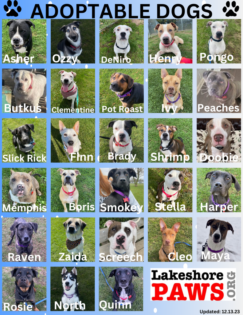 Home | Lakeshore PAWS
